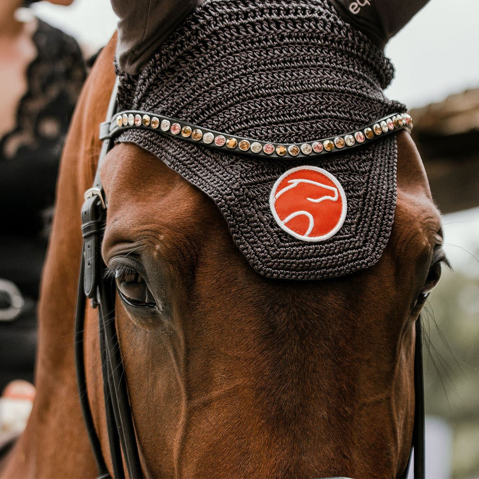 Equisense | Datas for riders